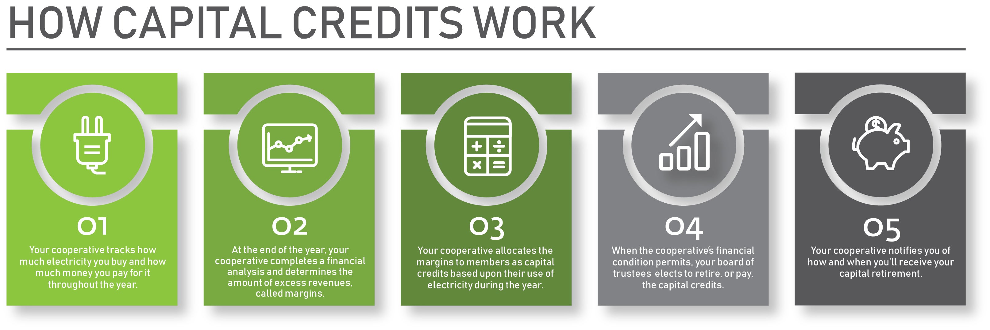 Capital Credits | Berkeley Electric Cooperative