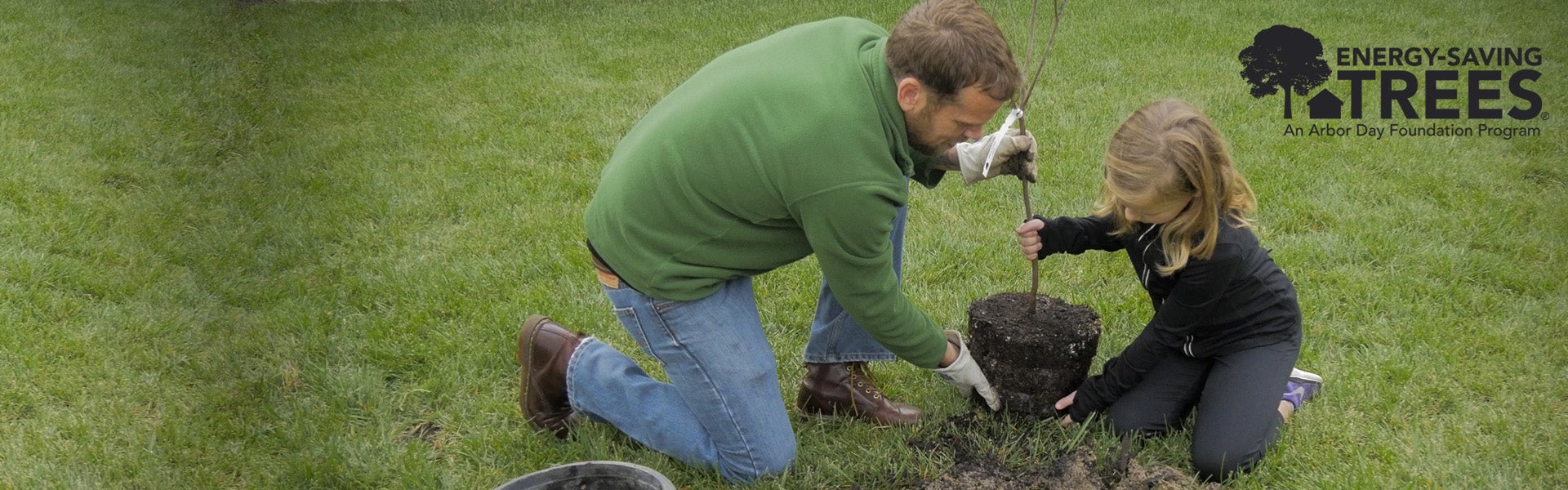 Home | Berkeley Electric Cooperative